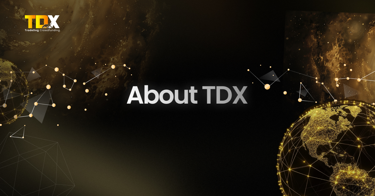 About Us - TDX
